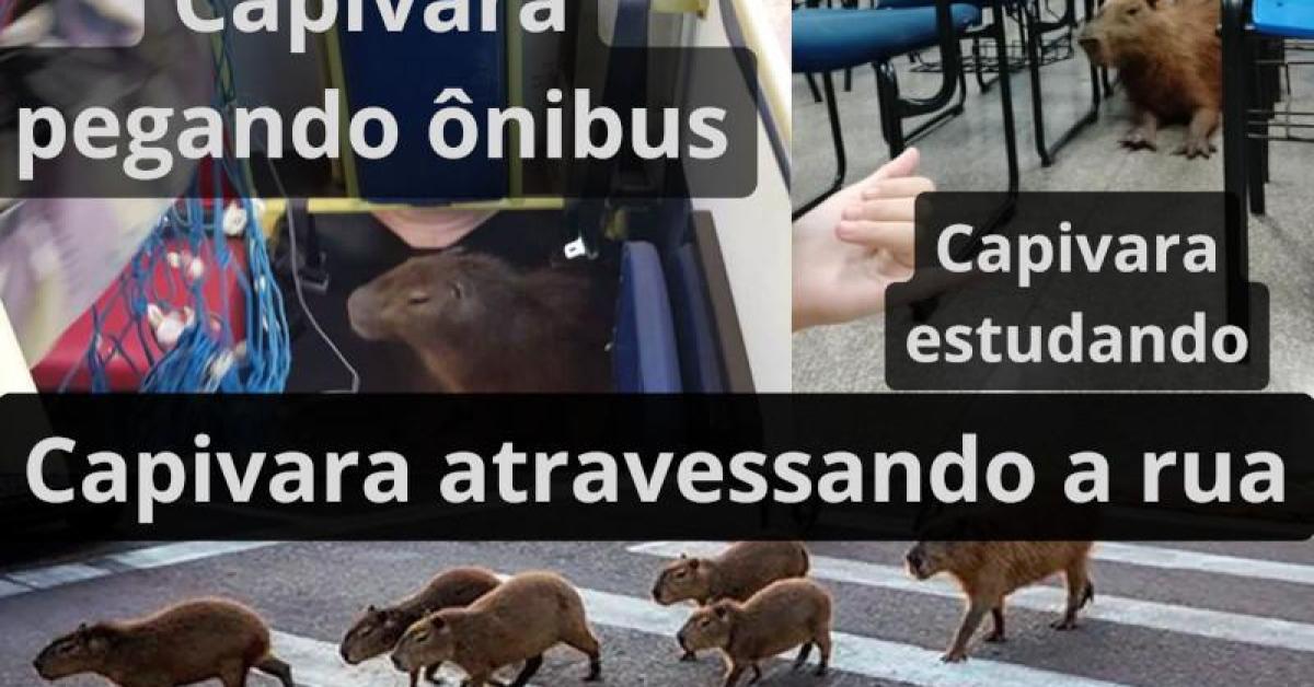 A Revolução das Capivaras - EhJapa